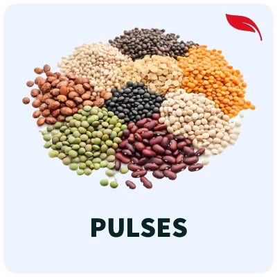 Pulses – Redbasil